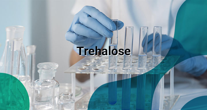 Trehalose: Natural Sugar for Skincare & Food Preservation